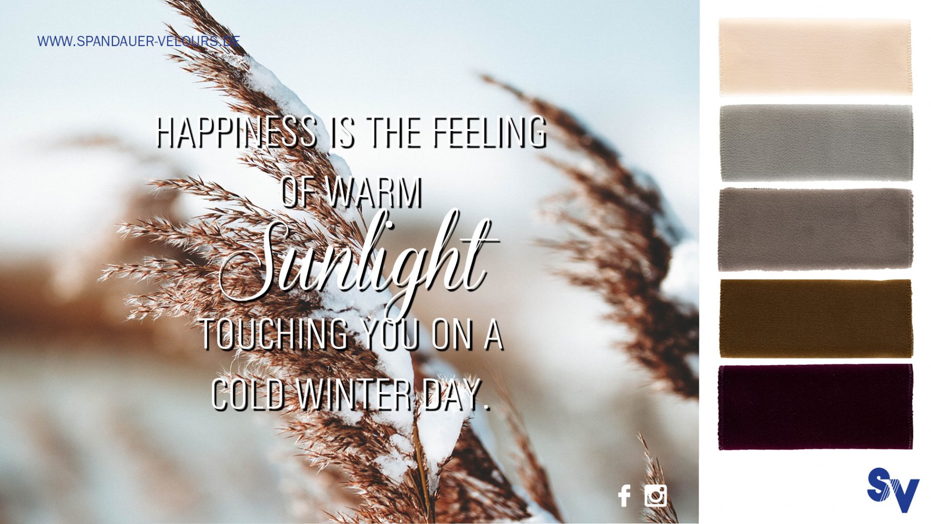Happiness is the feeling of warm sunlight touching you on a cold winter ...